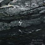 Blue Andes – FirStone